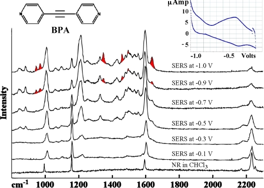 Fordham Faculty Website