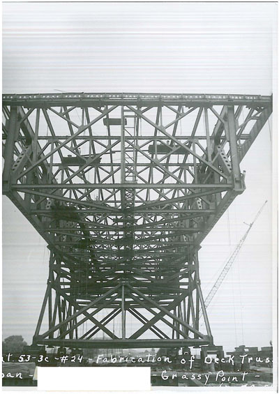 Fordham Faculty Website